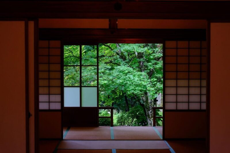 1 Day Tour: Explore Nikkos World Heritage and National Park - Final Thoughts