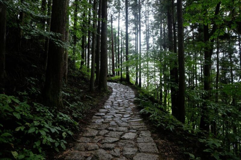 1-Day Tour from Nagoya: Hiking the Historic Nakasendo Trail - Who Should Consider This Tour?
