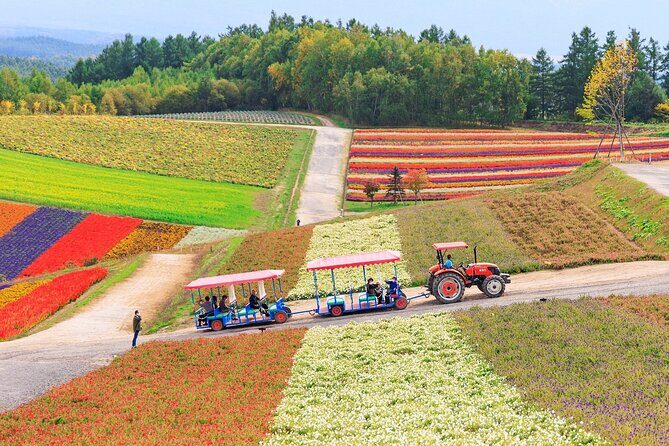 1 Day Tour from Sapporo Blue Pond and Hills of Seasonal Colors - Authentic Experiences and What Travelers Say