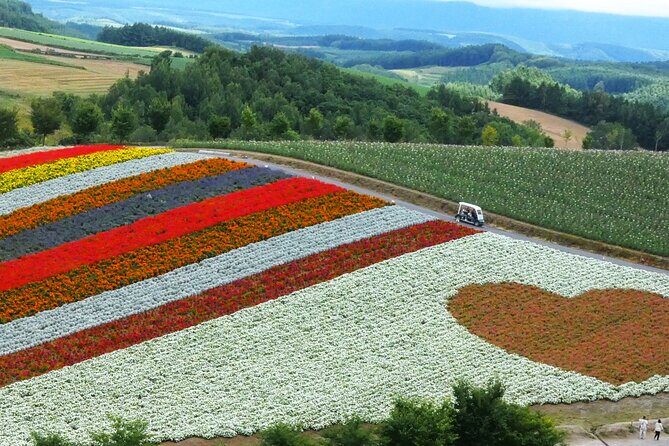 1 Day Tour from Sapporo Blue Pond and Hills of Seasonal Colors - The Sum Up: Who Will Love This Tour?