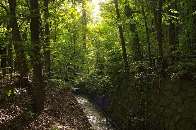 1 Day Tour in Sapporo Mt Maruyama Hike and Okurayama Ski Jump - Returning to Sapporo: Practical Details