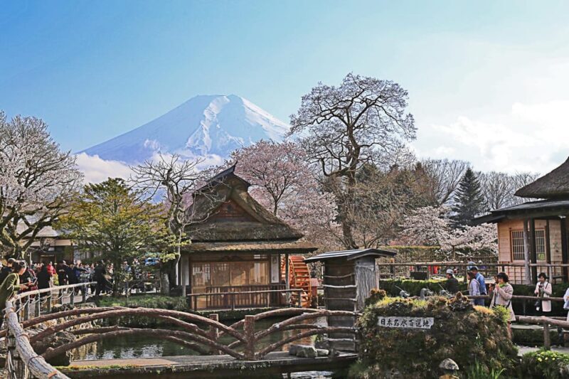 1 Day Tour : Mount Fuji and Hakone - A Practical, Well-Organized Itinerary