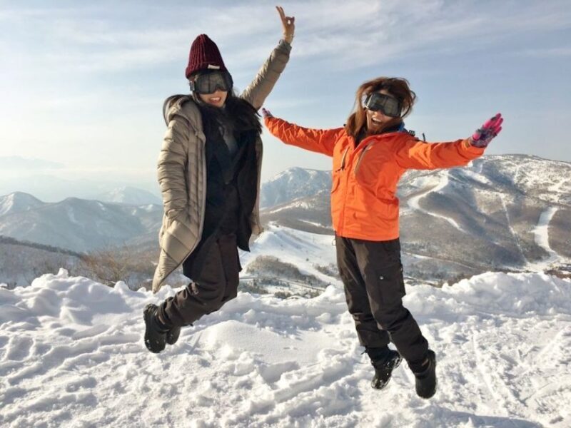 1 Day Tour: Snow Monkeys & Snow Fun in Shiga Kogen - Real Traveler Feedback & Authentic Insights