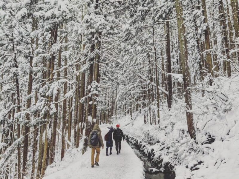 1 Day Tour: Snow Monkeys & Snow Fun in Shiga Kogen - Who Would Love This Tour?