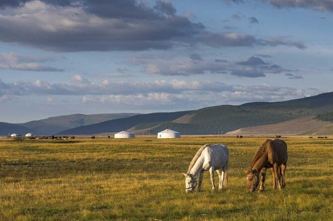 1 Day Tour: Terelj National Park And Chinggis Statue - Discoveringly Convenient and Culturally Rich