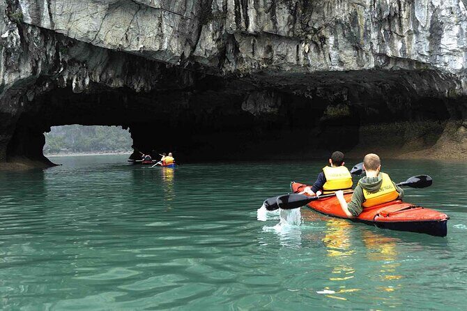 1 Day Tour to Halong Bay Cruise from 3 - 5 star Cruise & Transfer - Who Should Consider This Tour