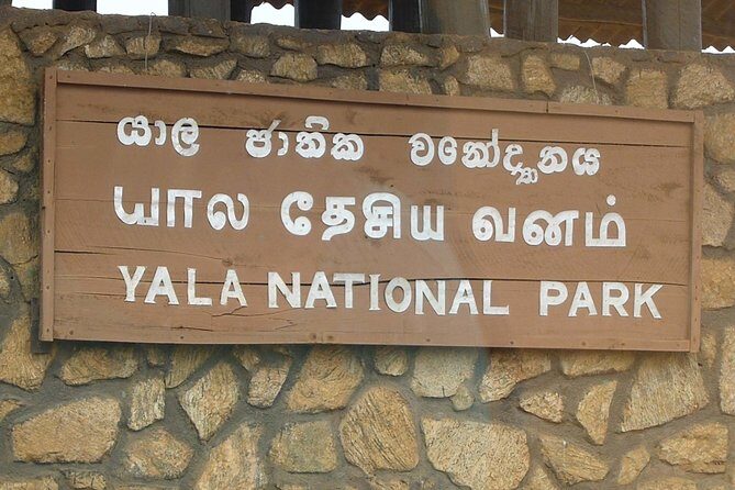 1 Day tour to Yala National Park or Udawalawe National Park - The Journey Begins: Picking Up from Kalutara