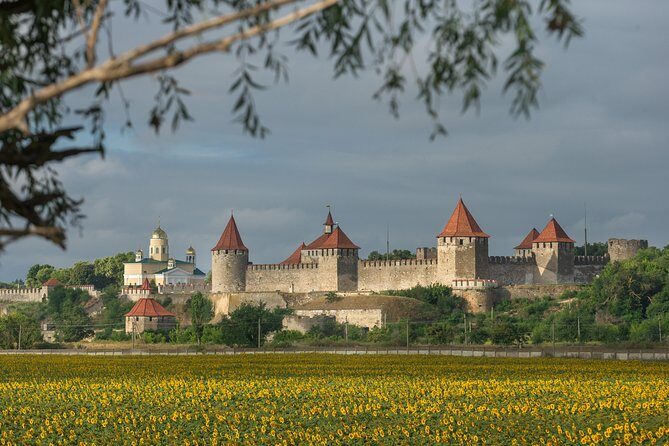 1 DAY: Transnistria tour from Chisinau with local guide - Transportation and Overall Logistics
