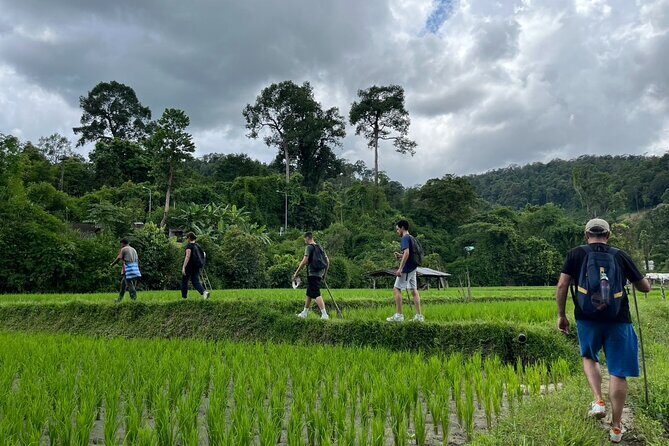 1 Day Trek and Bamboo Rafting Tour in Chiang Mai - Final Thoughts on the Value and Who It’s For