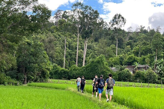 1 Day Trek and Bamboo Rafting Tour in Chiang Mai - FAQ