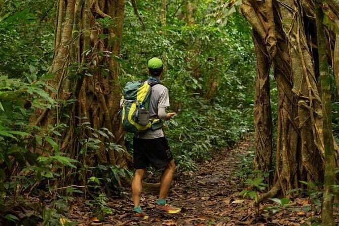 1 Day Trekking & Biking: Explore the Beauty Cat Ba National Park - A Closer Look at the Itinerary