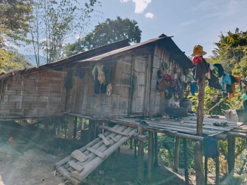 1 Day trekking : Chiang Rai popular activity,Fun in Nature. - The Sum Up: A Rich, Authentic Day in Northern Thailand