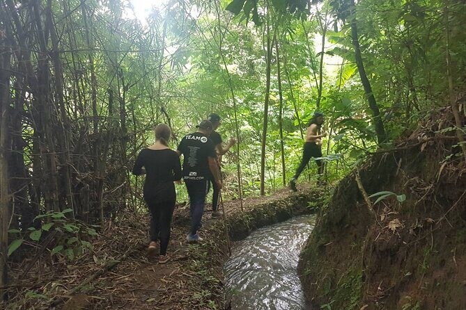 1 Day Trekking in Chiang Mai - What Sets This Tour Apart?