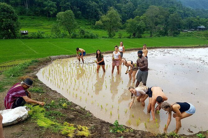 1 Day Trekking in Chiang Mai - Overall Impression