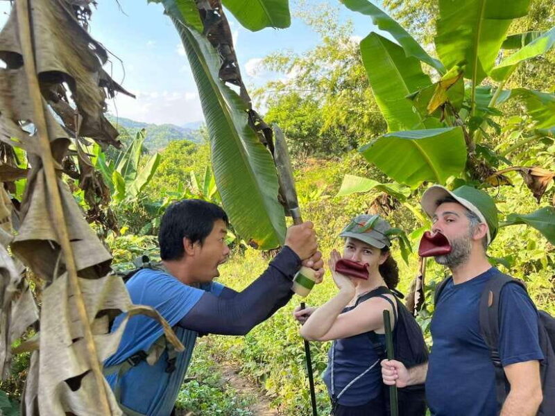 1 Day Trekking in Chiang Rai forest (walk only) - An In-Depth Look at the Experience