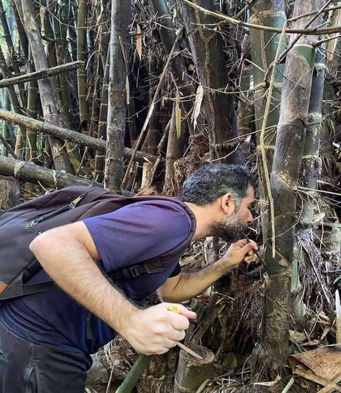 1 Day Trekking in Chiang Rai forest (walk only) - The Sum Up