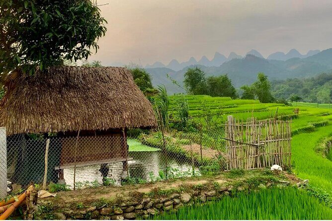1 Day Trekking Tour in Ha Giang with Local Experts - Who Is This Tour Best For?