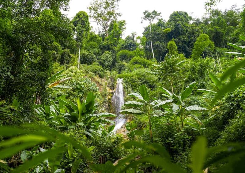 1 Day: Trekking Trip with Lao, Hmong, Khu Village & Kayaking - An In-Depth Look at the Tour Experience