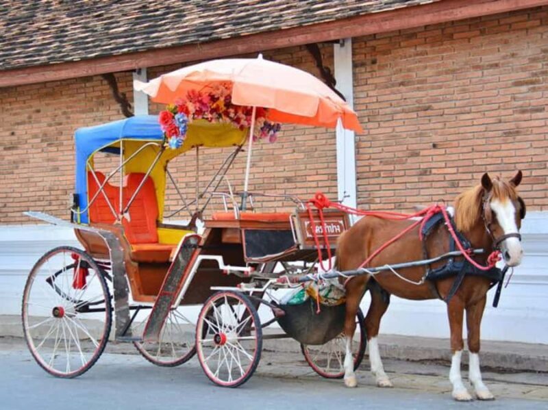 1-Day Trip: Private Van Rental with Driver for Lampang Tour - Who Should Consider This Tour?