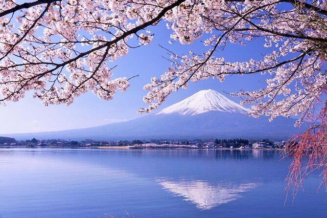1 Day Trip to Mt. Fuji and in Five Lakes around the area - Introduction: The Allure of Mount Fuji and the Five Lakes