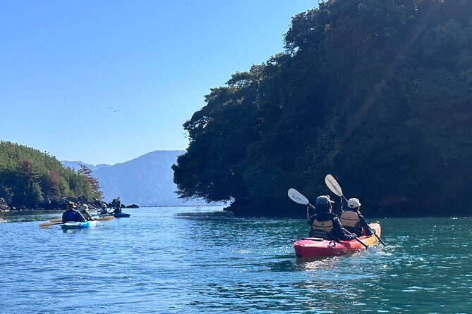 1-Day Volcano Kayak Adventure Around Sakurajima - Who Should Consider This Tour?