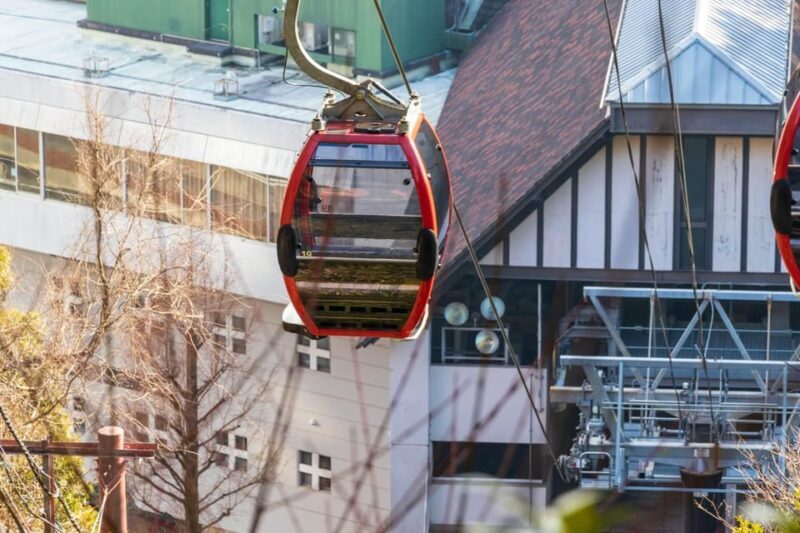 1-Day Walking Tour around Kobe : Mountains, Sea and Sake - Discovering Kobe: An Authentic Day in the City