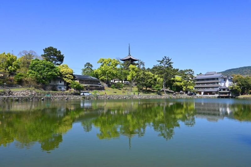 1-Day Walking Tour in Nara: Palace, Deer and Inkstick - Encountering the Sacred Deer and Historic Shrines