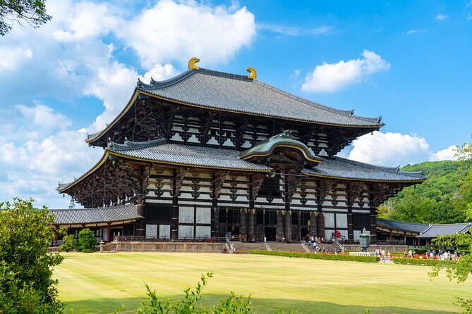 1 Day Walking Tour in Nara, Todaiji Temple, Deer and Inkstick - A Comprehensive Look at the Nara Walking Tour