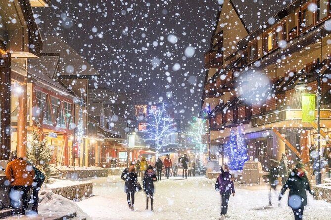 1 day Whistler Tour from Vancouver Experience (chn&eng) - Exploring Whistler and Blackcomb Mountains