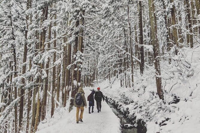 1-Day Winter Tour From Nozawa Onsen: Snow Monkeys, Zenko-ji Temple & Sake - An In-Depth Look at the Nagano Winter Tour