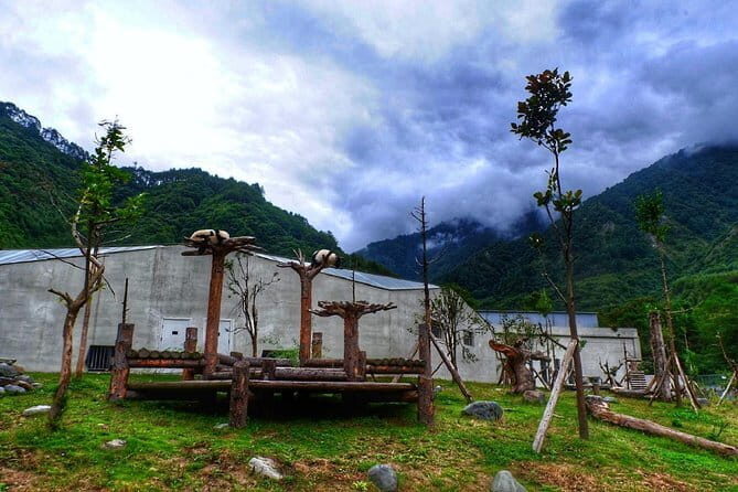1 Day Wolong Panda Nature Reserve Tour - The Itinerary in Detail