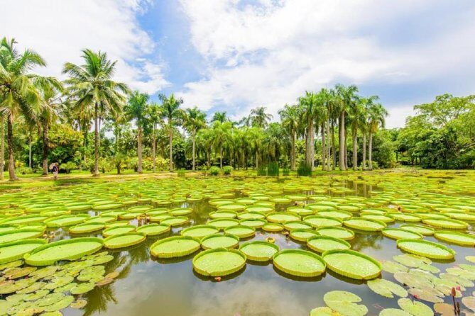 1 Day Xishuangbanna City Tour with Tropical Botanical Garden - Key Points