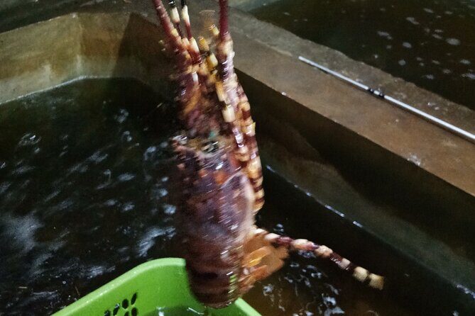 1-Day Yogyakarta Timang Pengger - PRIVATE Tour with GUIDE - Final Thoughts: A Well-Rounded, Authentic Day Out in Yogyakarta