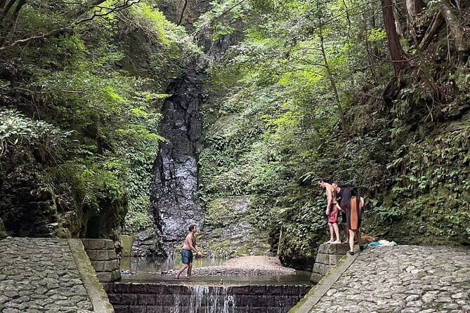 1 Day Yoshino Tour get Out to the Cool of the Countryside - Who Is This Tour Best For?