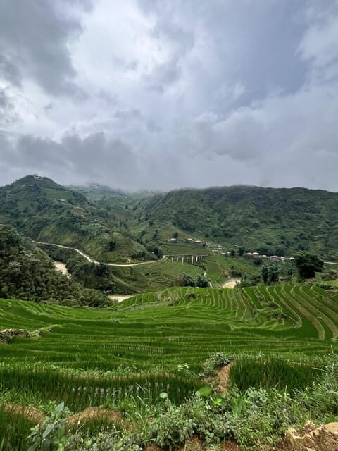 1 DAYS Trekking in Sa Pa - An In-Depth Look at the Trekking Experience
