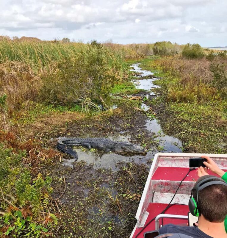1 Hour Airboat Everglade Tour - Introduction: What’s the Tour All About?