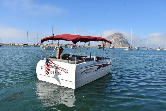 1 Hour Boat Rental - A Practical Look at the 1 Hour Boat Rental in Morro Bay