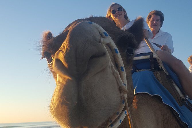 1 Hour Broome Sunset Camel Tour - Practical Details and Considerations