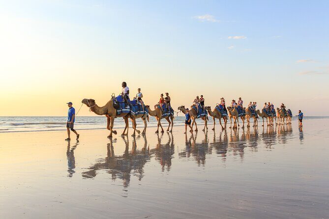 1 Hour Broome Sunset Camel Tour - What Guests Say
