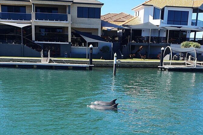 1 Hour Deluxe Scenic Dolphin Cruise - What Reviewers Say