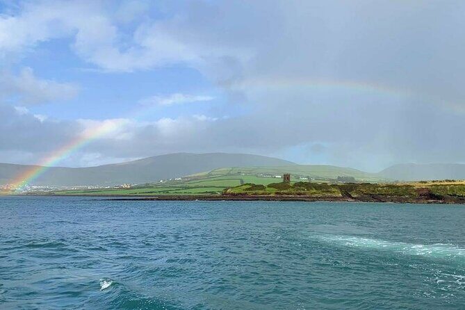 1 hour Dingle Bay Cliff Tour - Key Points