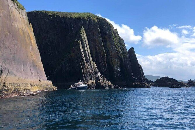 1 hour Dingle Bay Cliff Tour - An In-Depth Look at the Dingle Bay Cliff Tour