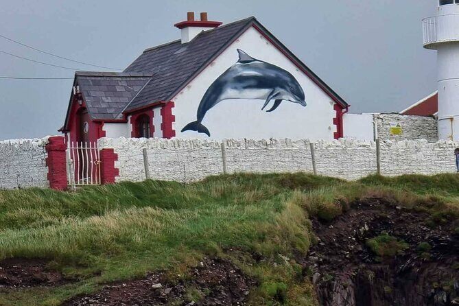 1 hour Dingle Bay Cliff Tour - The Sum Up