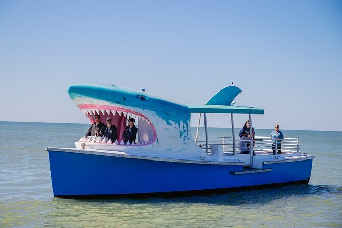 1-hour Dolphin Sightseeing Adventure Cruise from Madeira Beach - Authentic Experiences and Review Highlights