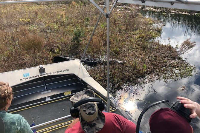 1 Hour Everglades Airboat Tour Central Florida - An In-Depth Look at the Everglades Airboat Experience