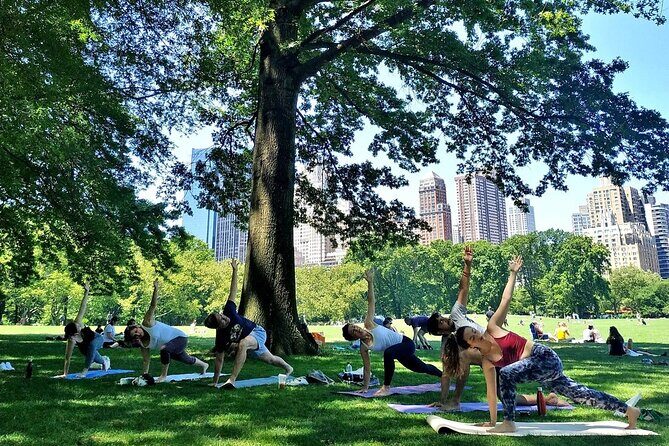 1 Hour Group Yoga Class in Central Park - What Real Participants Say