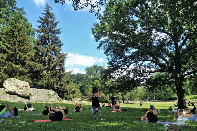 1 Hour Group Yoga Class in Central Park - Who Should Consider This Experience?