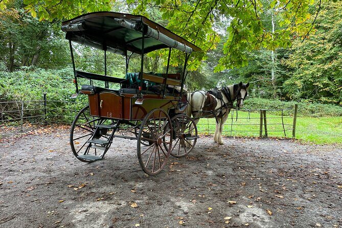 1 Hour Guided Carriage Tour in Killarney National Park - The Experience and Itinerary in Detail