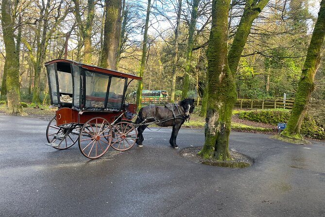 1 Hour Guided Carriage Tour in Killarney National Park - The Cost and Value Proposition