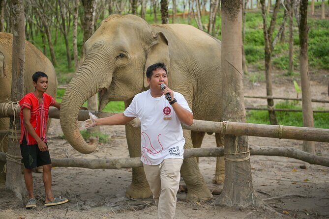 1-Hour Guided Khaolak Elephant Sanctuary Observation Tour - Why This Tour Matters: A Genuine Look at Elephants in Khao Lak